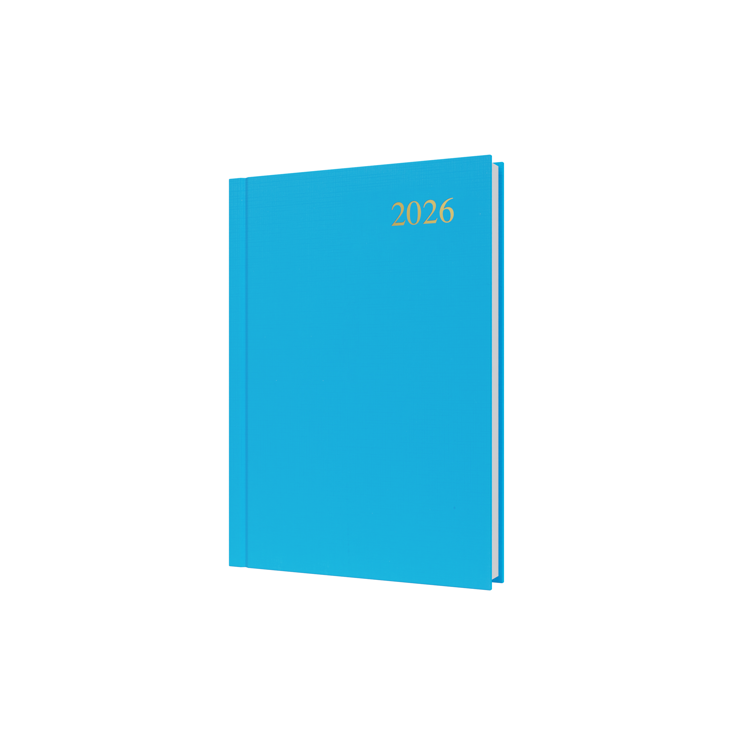 Collins Essential Calendar Year 2026 Diary/Planner, Day to Page, A5 Ha ...