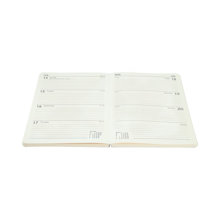 DIARIES — Collins Debden